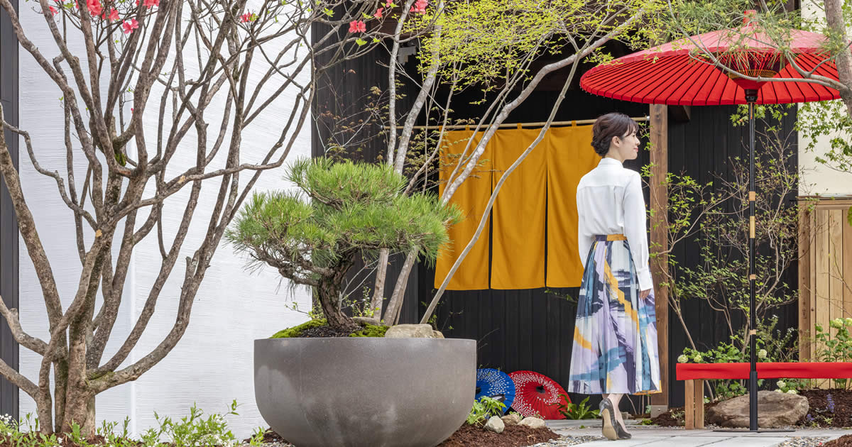 COMPANY | MOMO LANDSCAPE