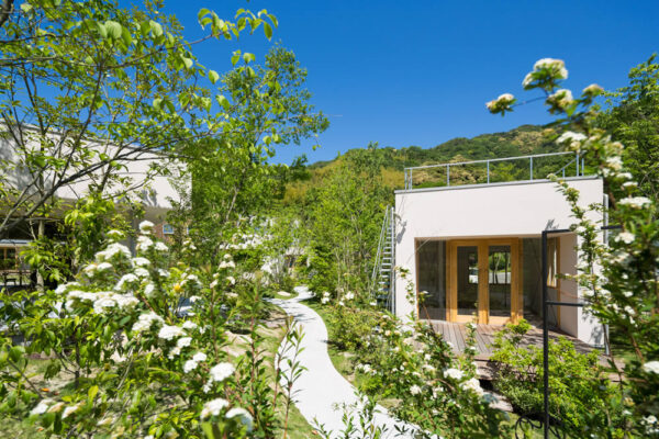 iroherb | MOMO LANDSCAPE