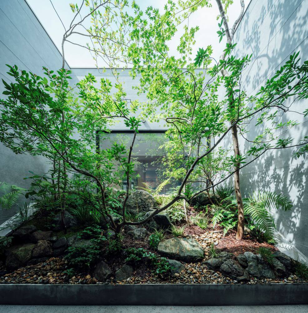 NEW WORKS | MOMO LANDSCAPE